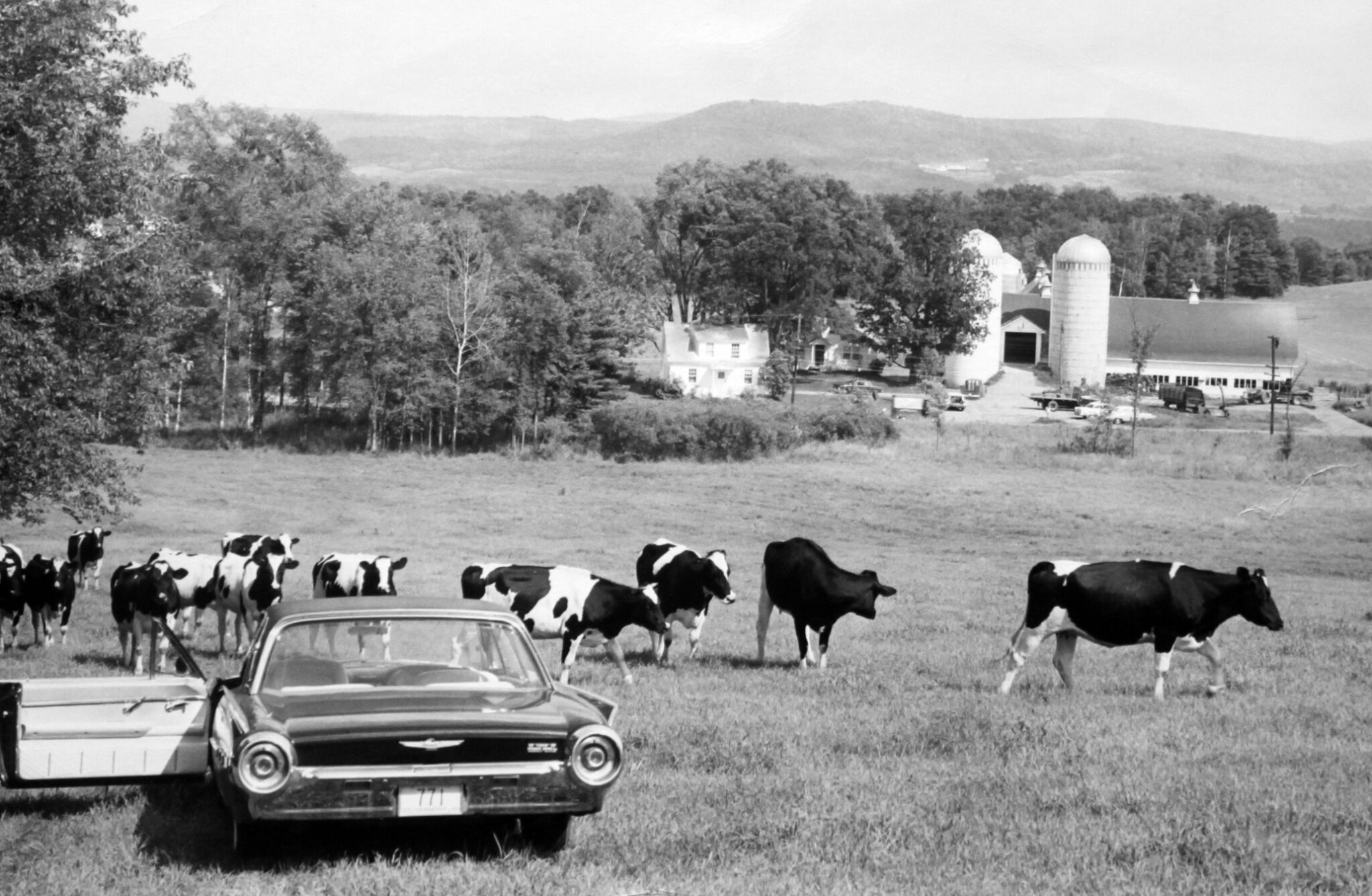 Windsor Brown Farm – HARTFORD, VT HISTORICAL SOCIETY